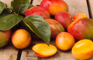 African Mango Review! 11 CRUCIAL Facts to Know (Jan 2020)